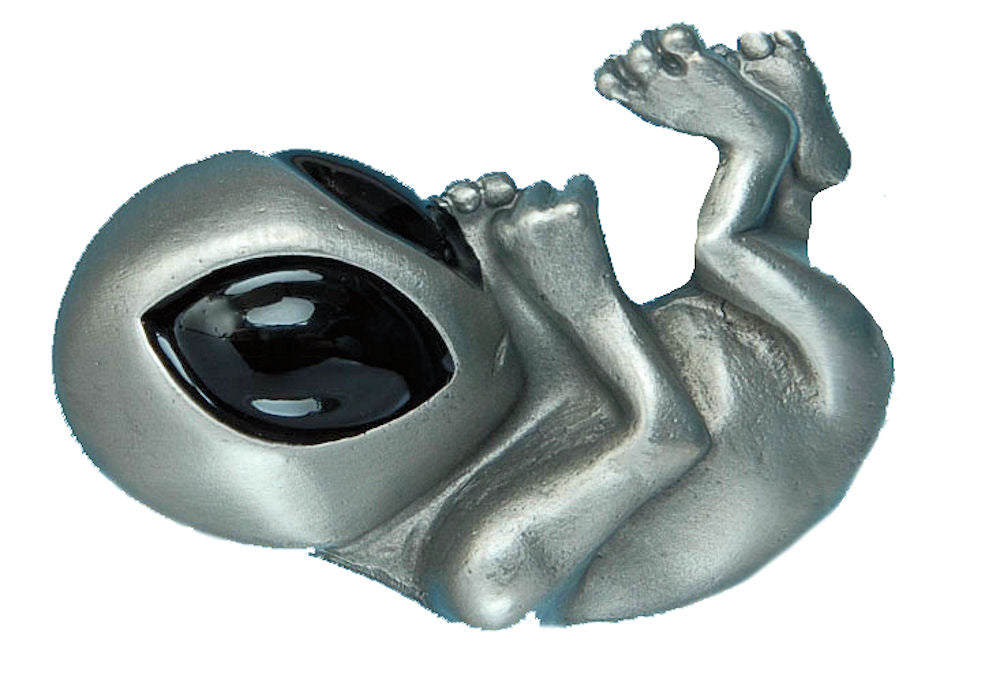 Buy Alien Embryo Belt Buckle | American Style Clasp Buckle – Buckle My Belt